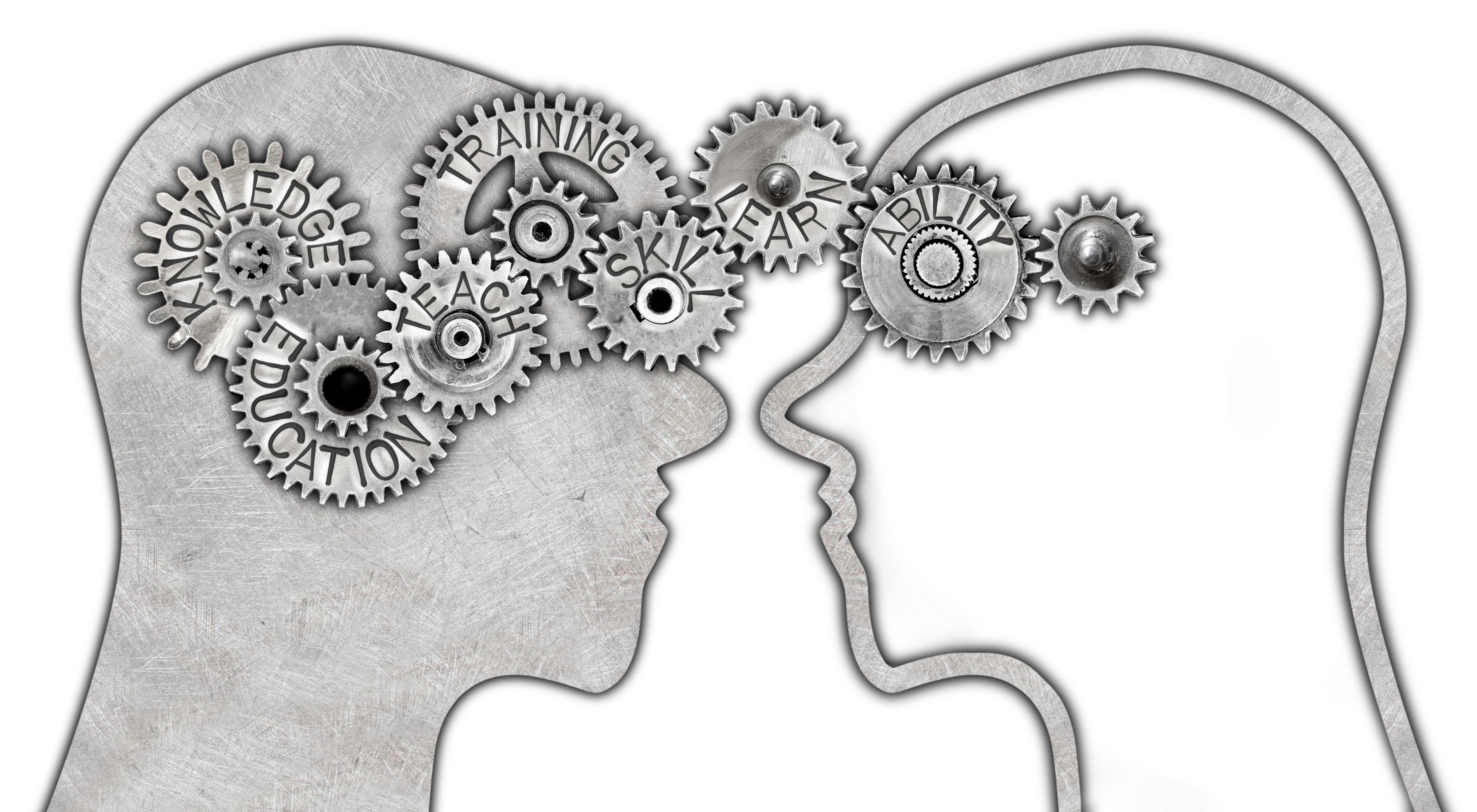 Work Related Skills 1 and 2 - Virtual School Victoria