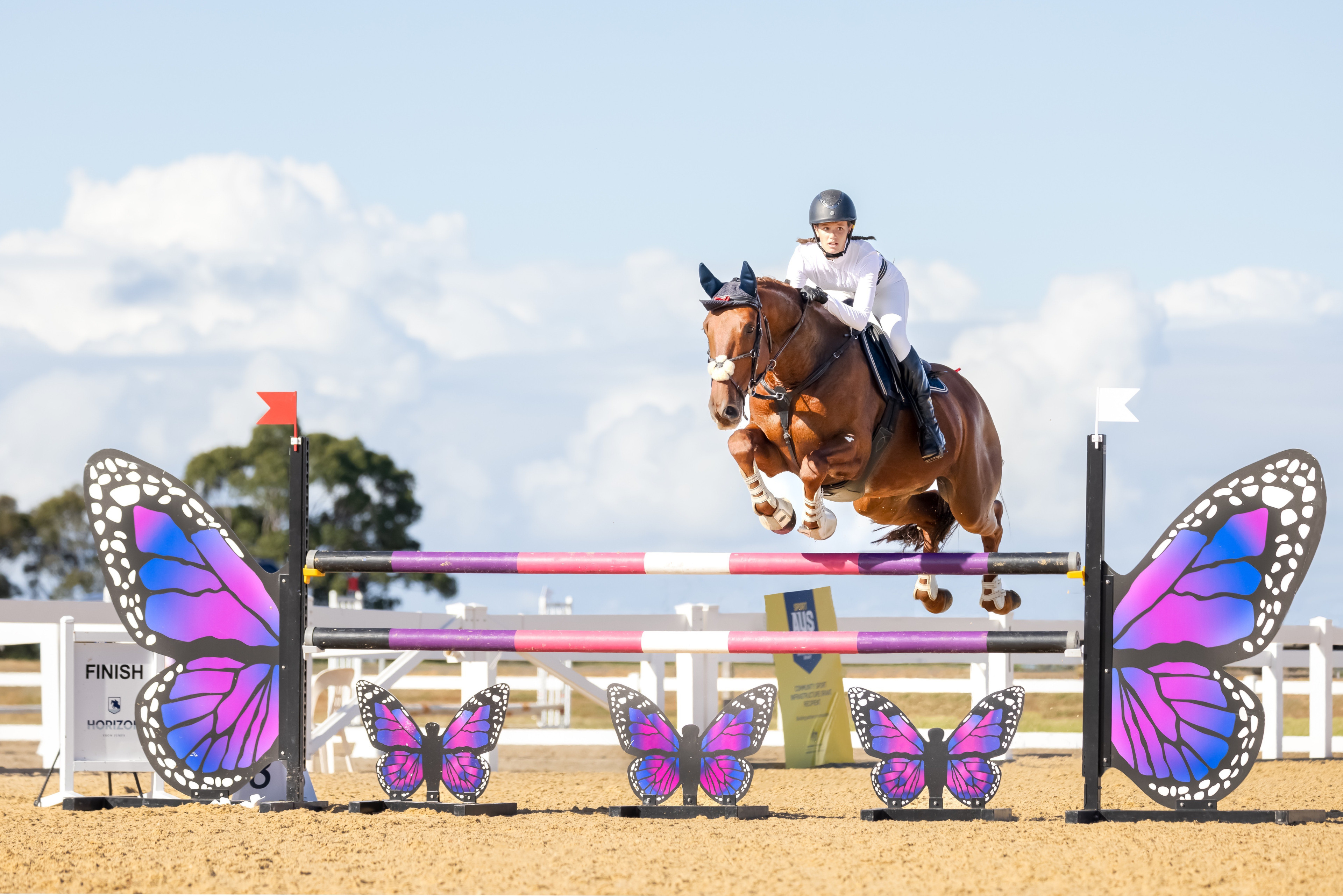 Riding High - Mia takes the saddle for VSV - Virtual School Victoria